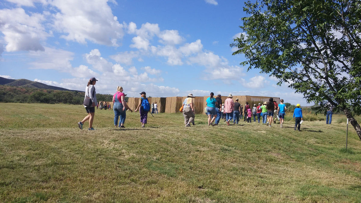 Farm Field Day Recap – Native-Seeds-Search