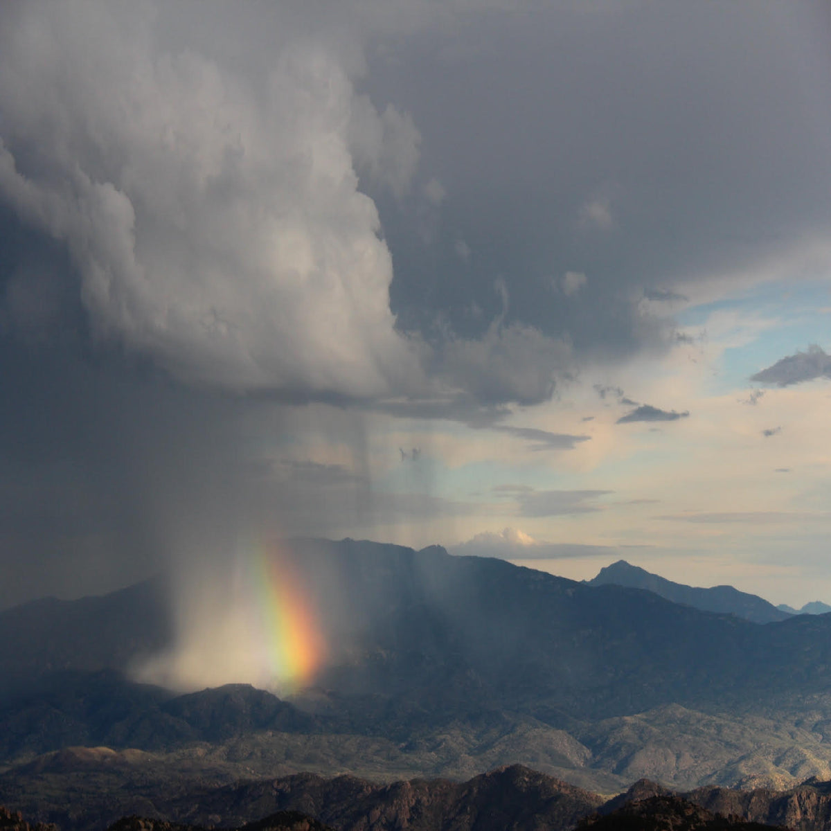 Seeds > Monsoon Collection – Native-Seeds-Search