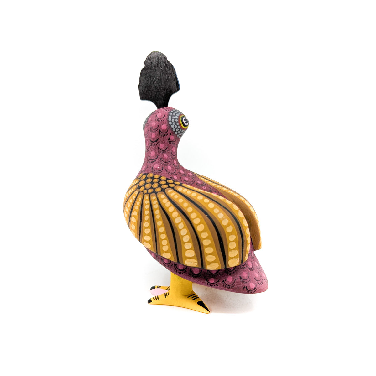 Magenta and Gold Quail with Teal Top Knot – Native-Seeds-Search