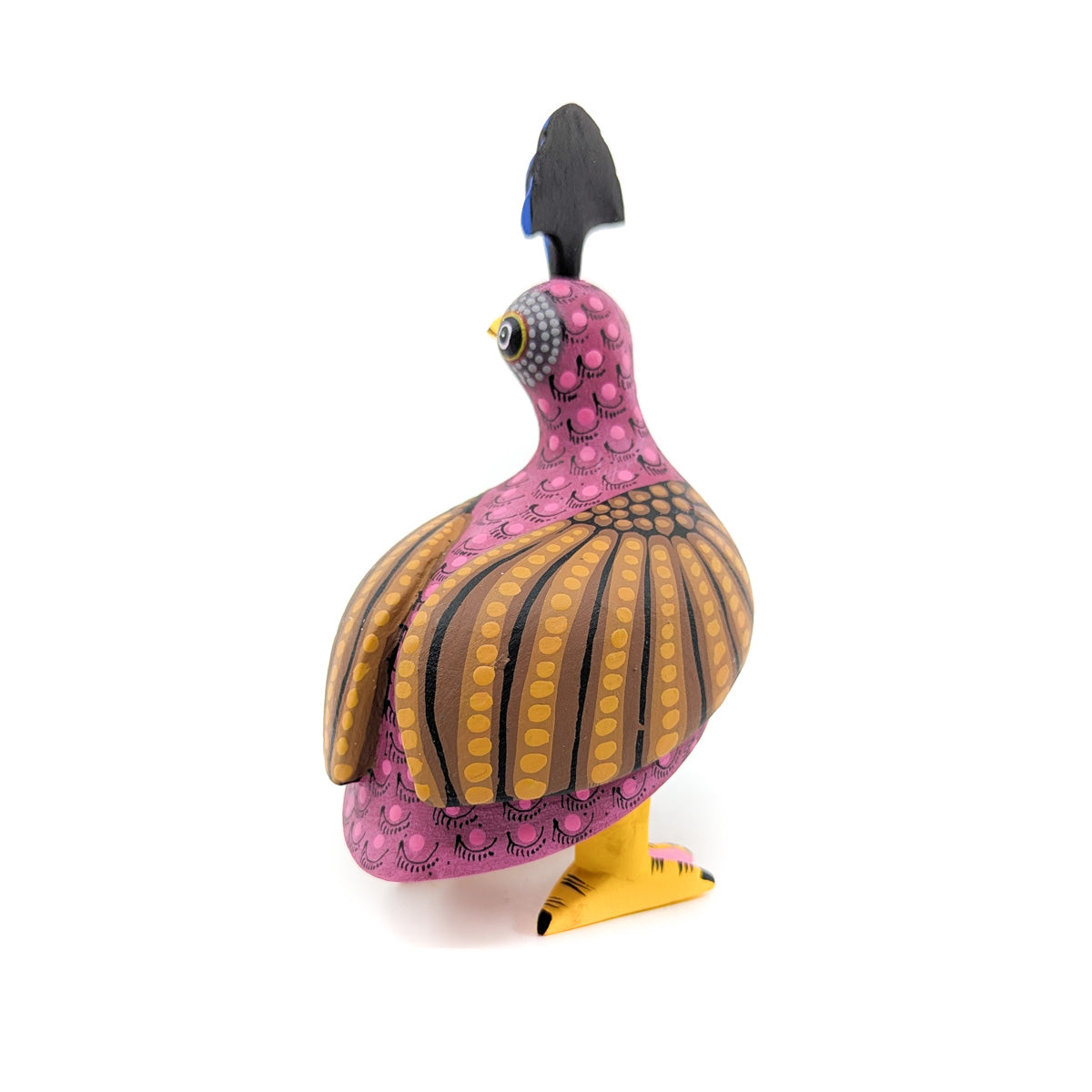 Finely Painted Quail with Golden Wings and Blue Topknot – Native-Seeds ...