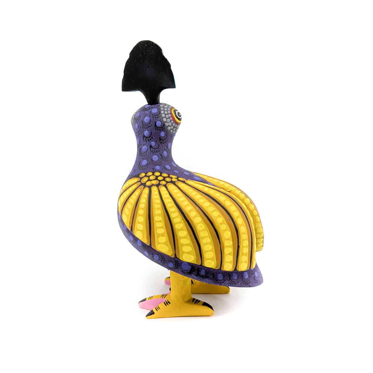 Finely Painted Purple Quail with Yellow Wings and Teal Top Knot ...