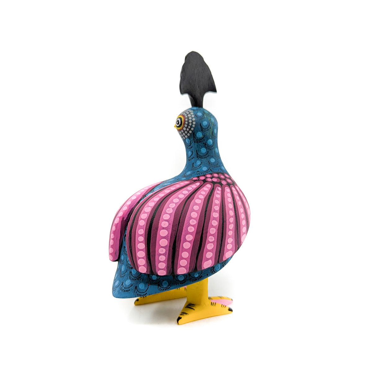 Teal Quail with Hot Pink Wings and Grey Top Knot – Native-Seeds-Search