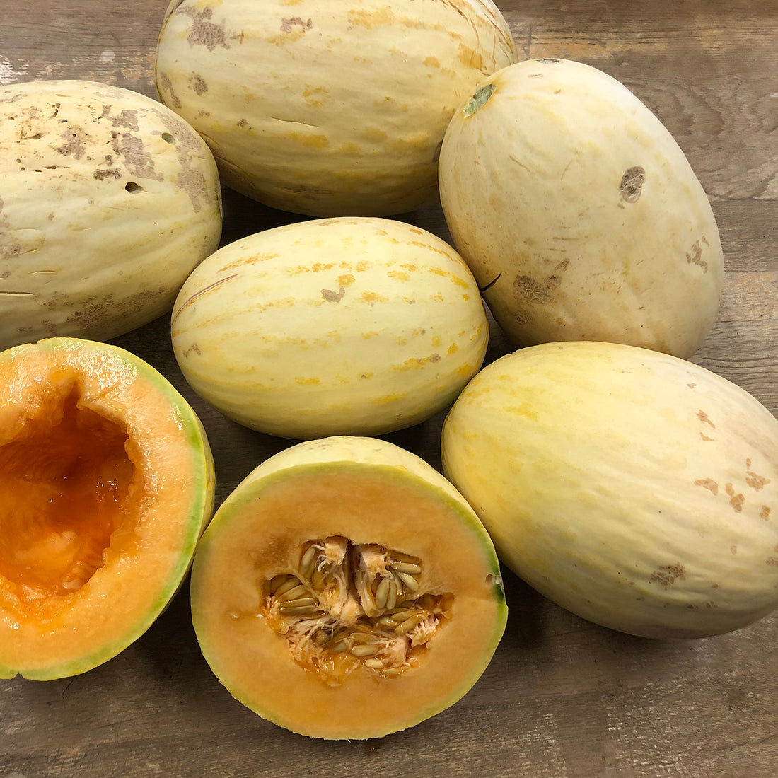 Seeds > Melons – Native-Seeds-Search