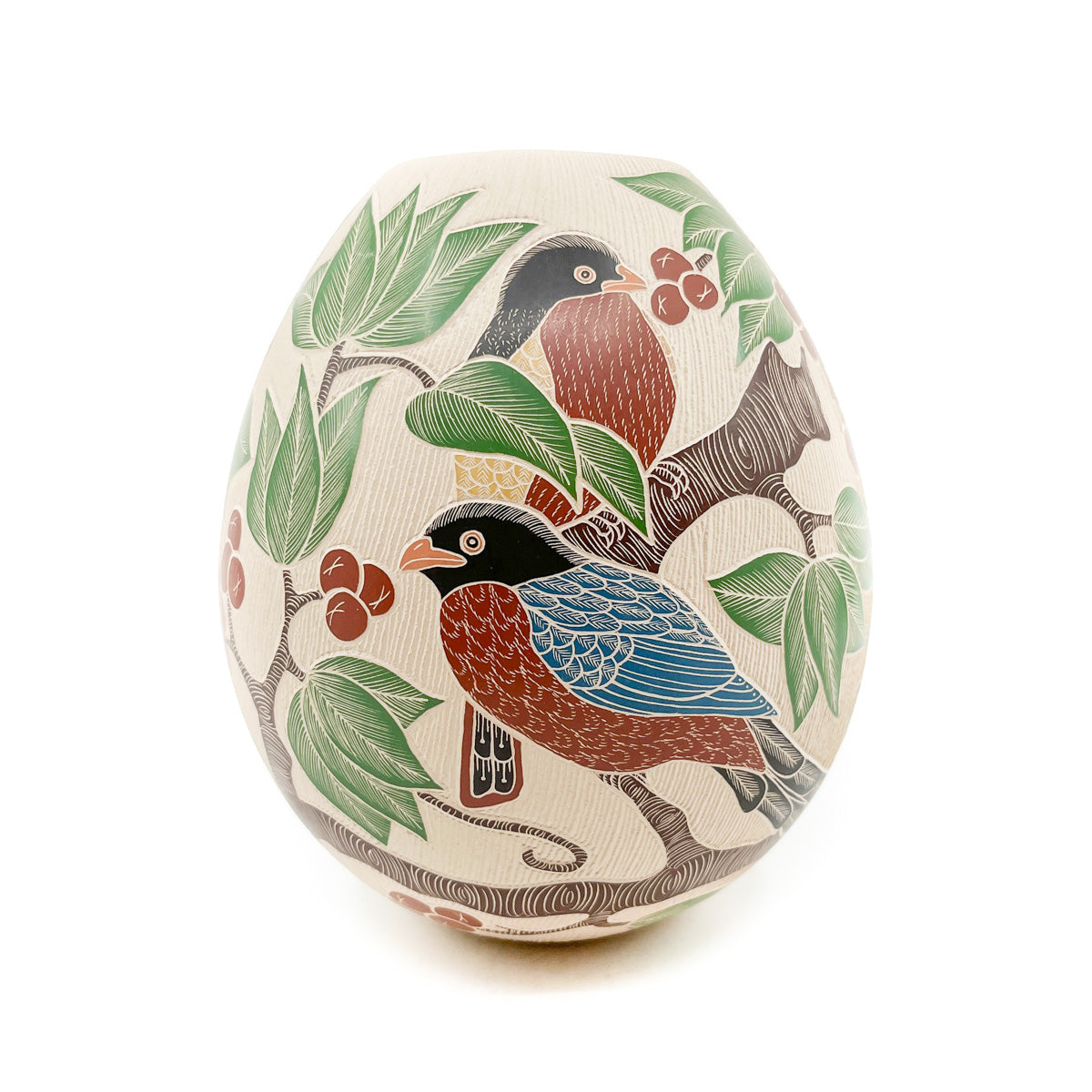 Mata Ortiz Pottery – Native-Seeds-Search