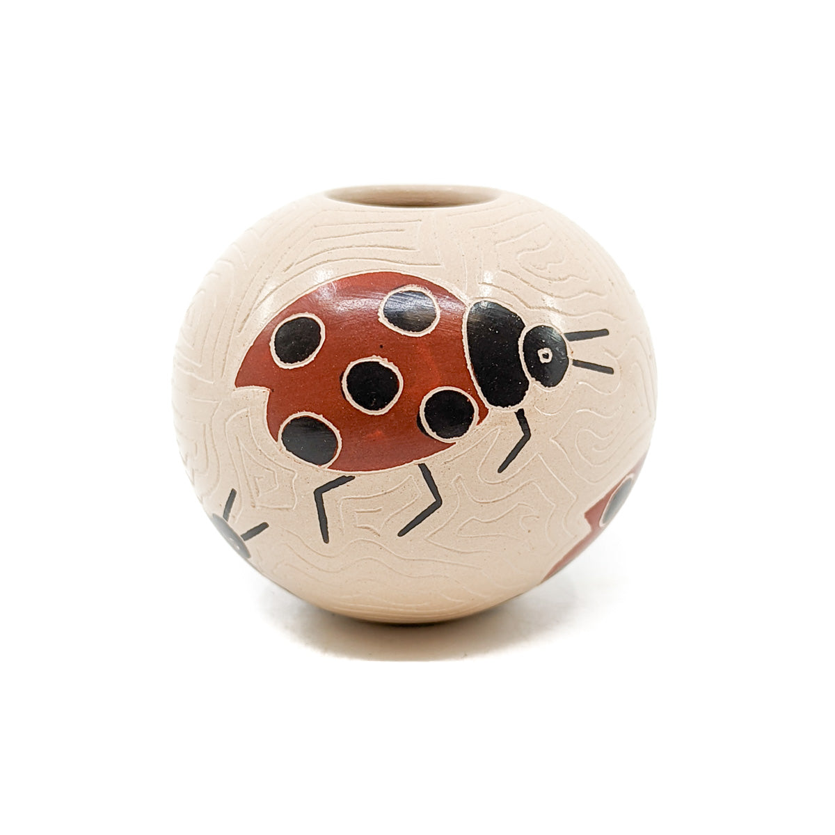 Small Seed Pot with Ladybugs – Native-Seeds-Search