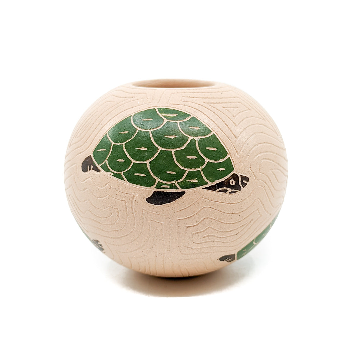 Small Seed Pot with Green Turtles – Native-Seeds-Search