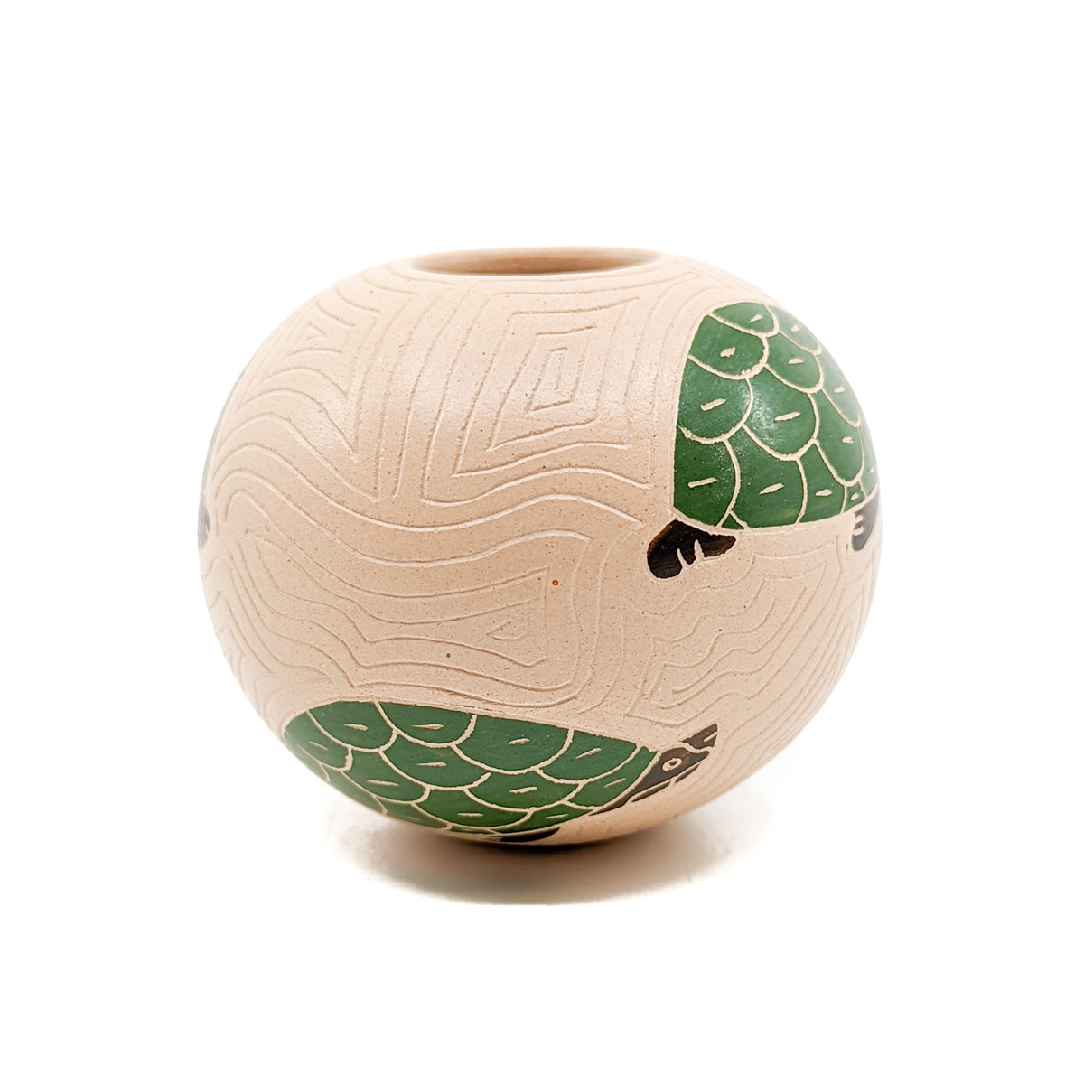 Small Seed Pot with Green Turtles – Native-Seeds-Search