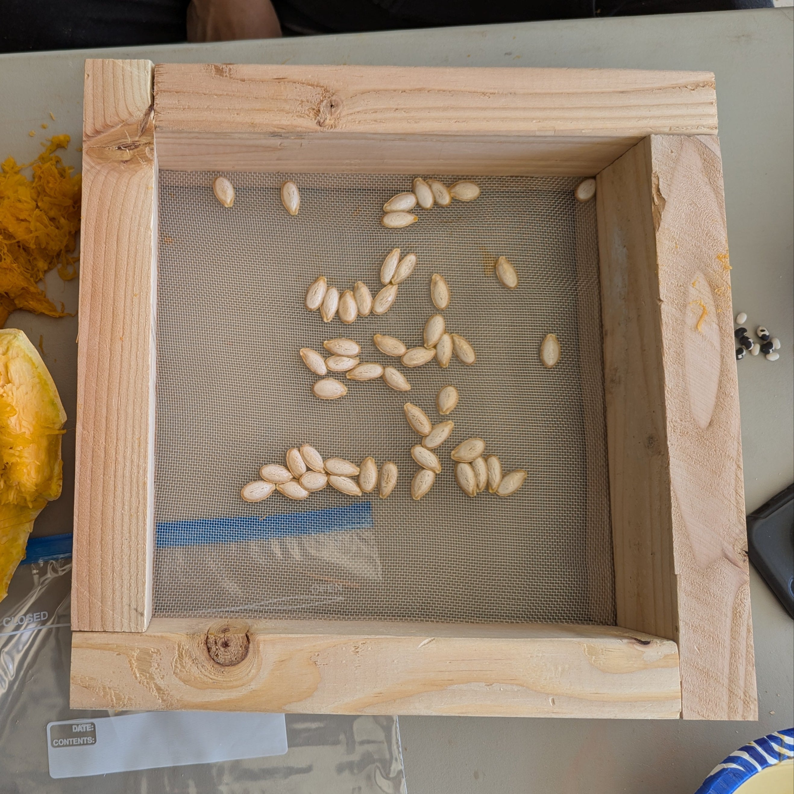 Growing tips for southwest gardening – Native-Seeds-Search