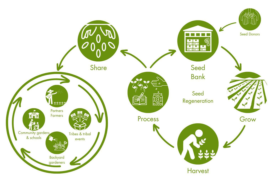 About Us – Native-Seeds-Search