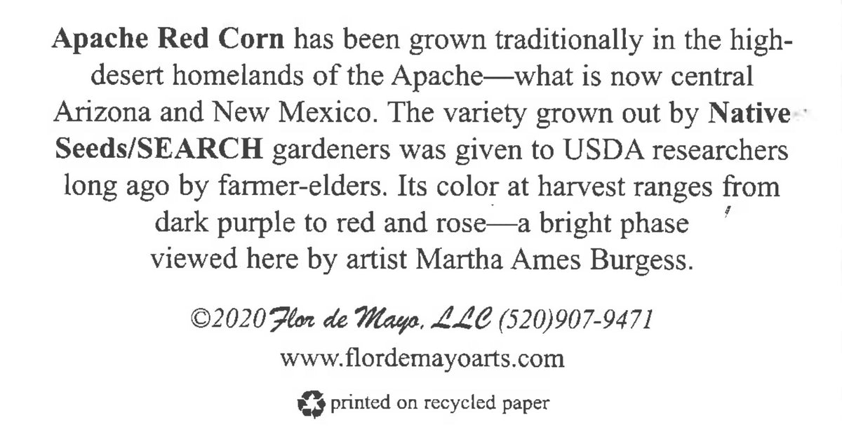 "Apache Red Corn" - Card by Flor De Mayo Arts – Native-Seeds-Search