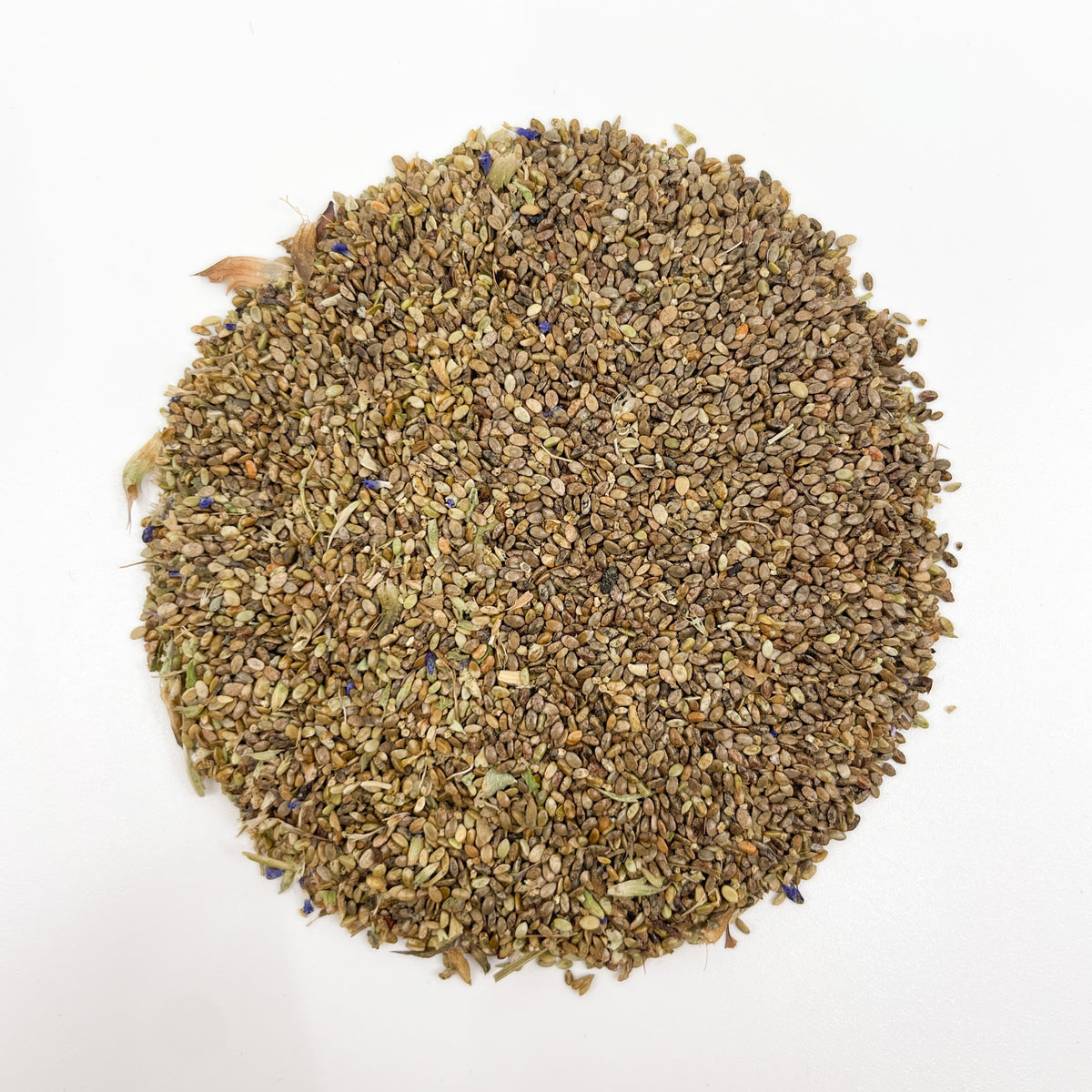 Desert Chia – Native-Seeds-Search