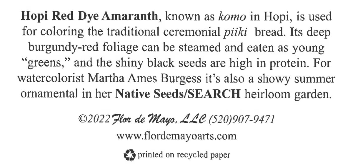 "Hopi Red Amaranth" - Card by Flor De Mayo Arts – Native-Seeds-Search