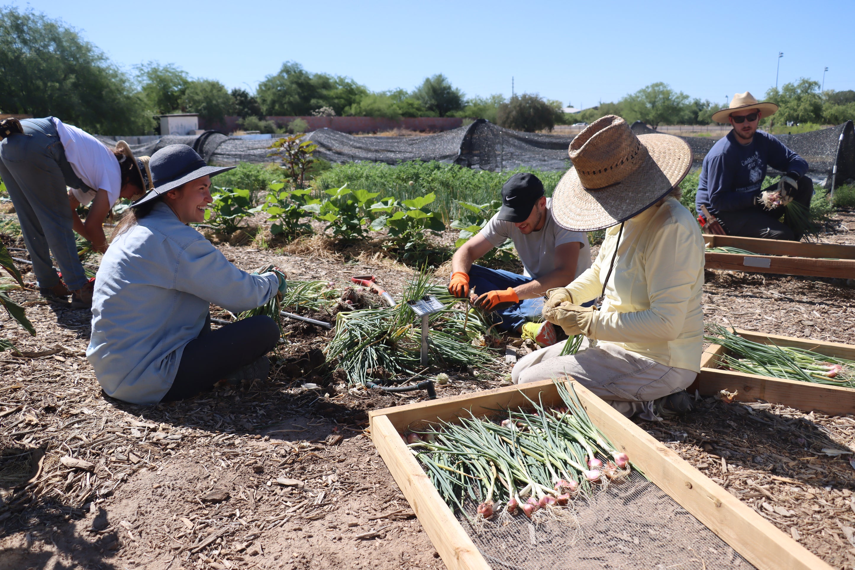 Apprenticeships at Native Seeds/SEARCH – Native-Seeds-Search
