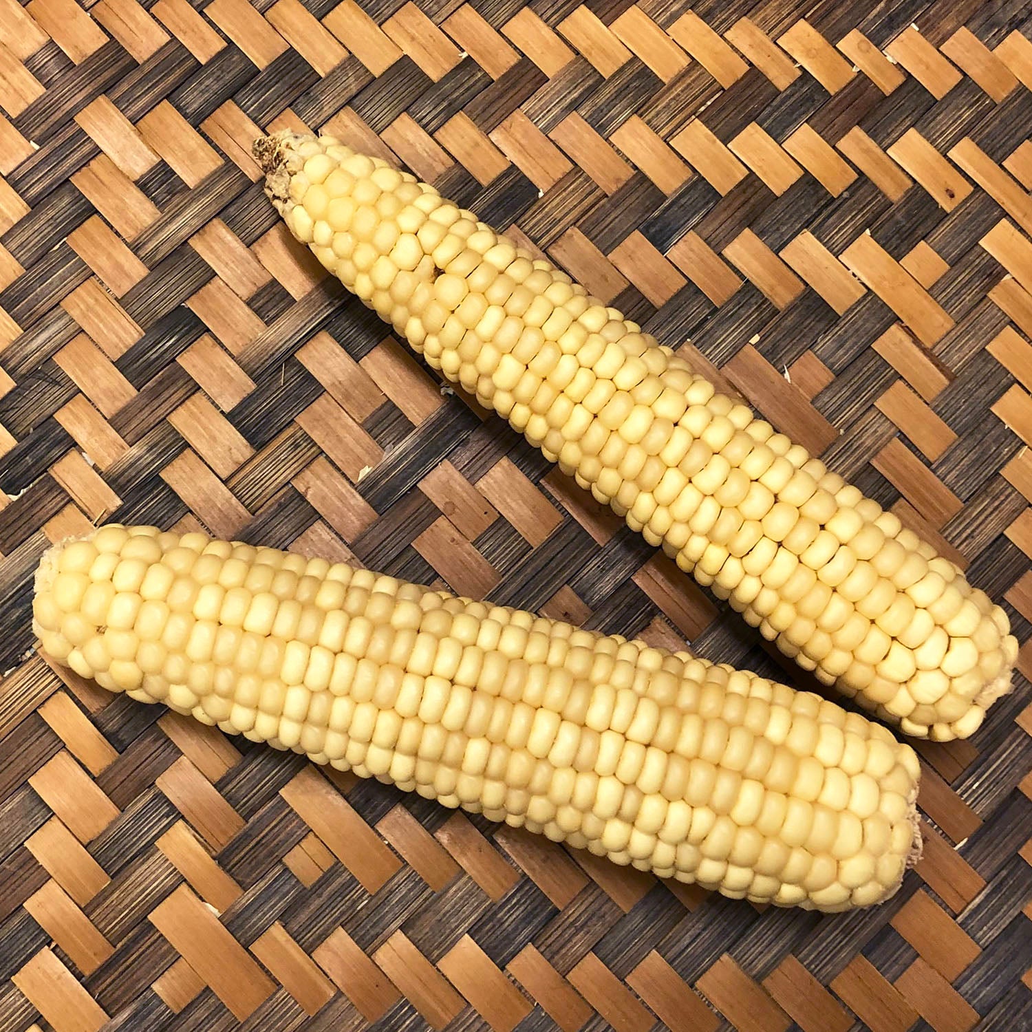 Seeds > Corn - Flour/Flint – Native-Seeds-Search