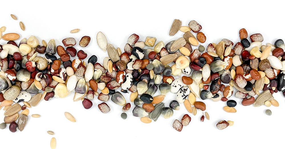 native seeds search arid-adapted heirloom seeds from the southwest ...