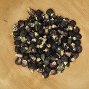 Posole, Organic Blue Corn – Native-Seeds-Search