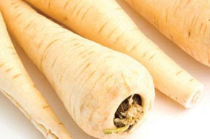 Harris Model – Native-Seeds-Search