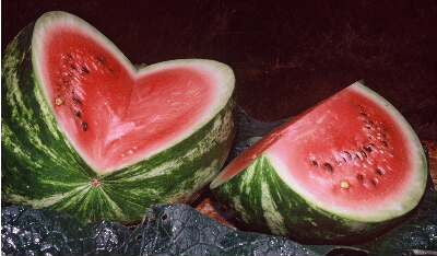 Seeds > Tucson Seed – Native-Seeds-Search