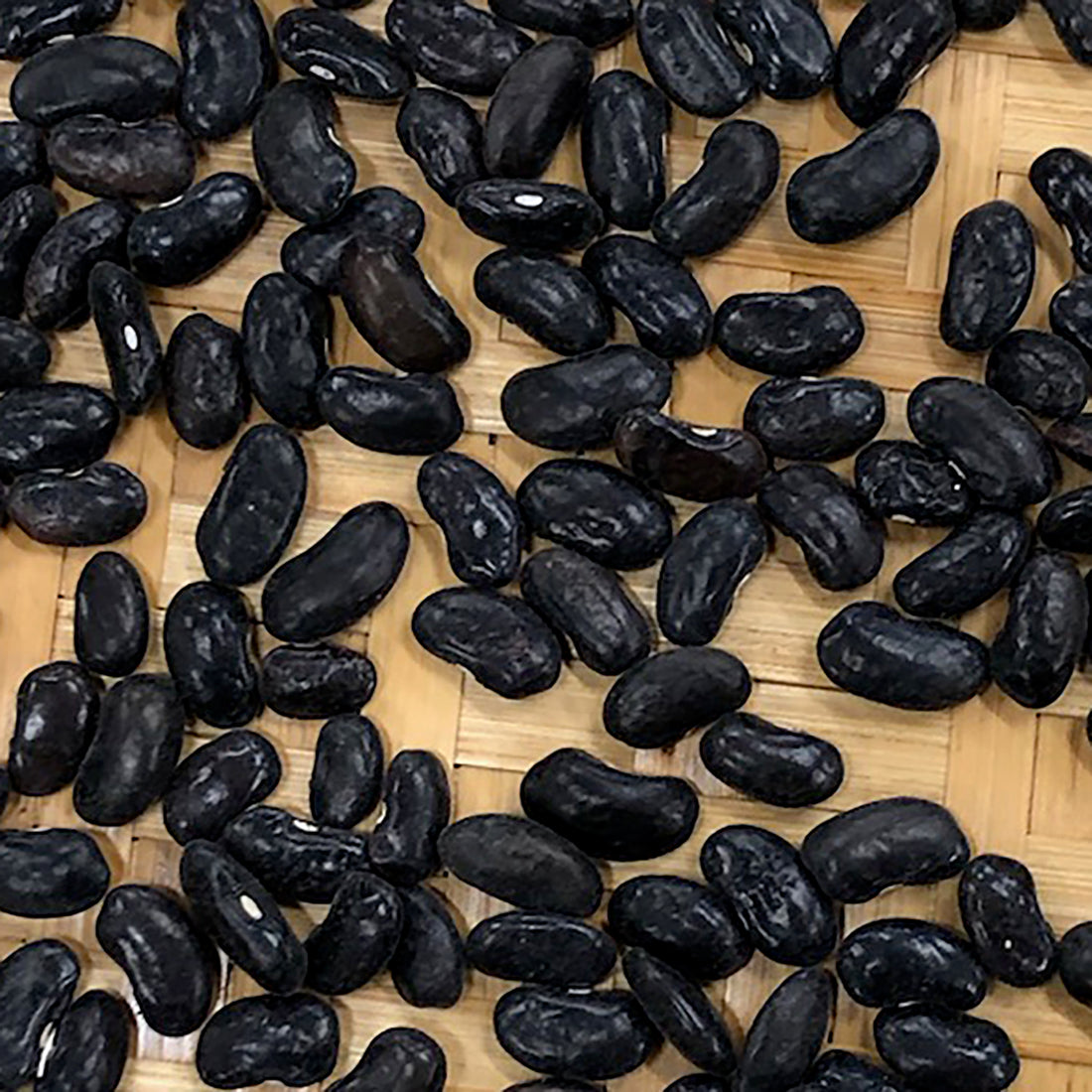 NASR > Hopi – Native-Seeds-Search