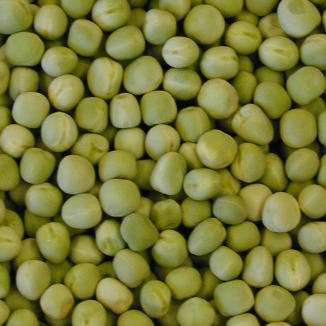 Native Access – Native-Seeds-Search