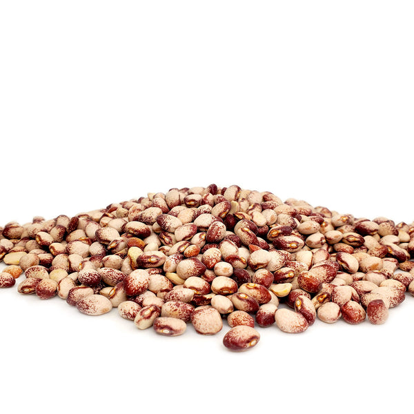 Colorado River Beans – Native-Seeds-Search
