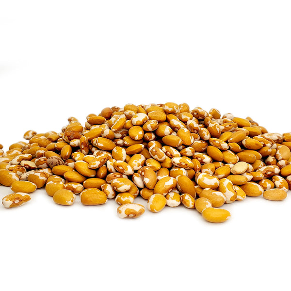 Four Corners Gold Beans – Native-Seeds-Search