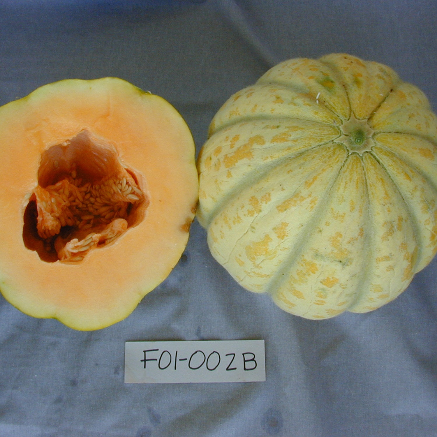 Seeds > Melons – Native-Seeds-Search