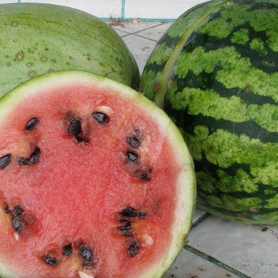 Seeds > Watermelons – Native-Seeds-Search