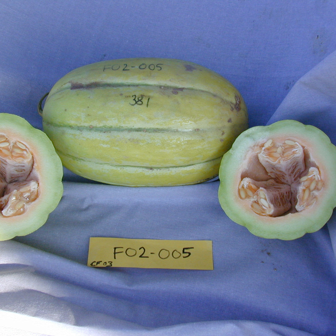 NASR > Melon – Native-Seeds-Search