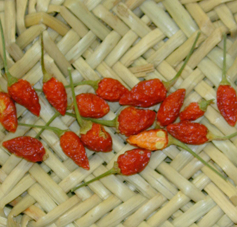 Seeds > Chiles/Peppers – Native-Seeds-Search