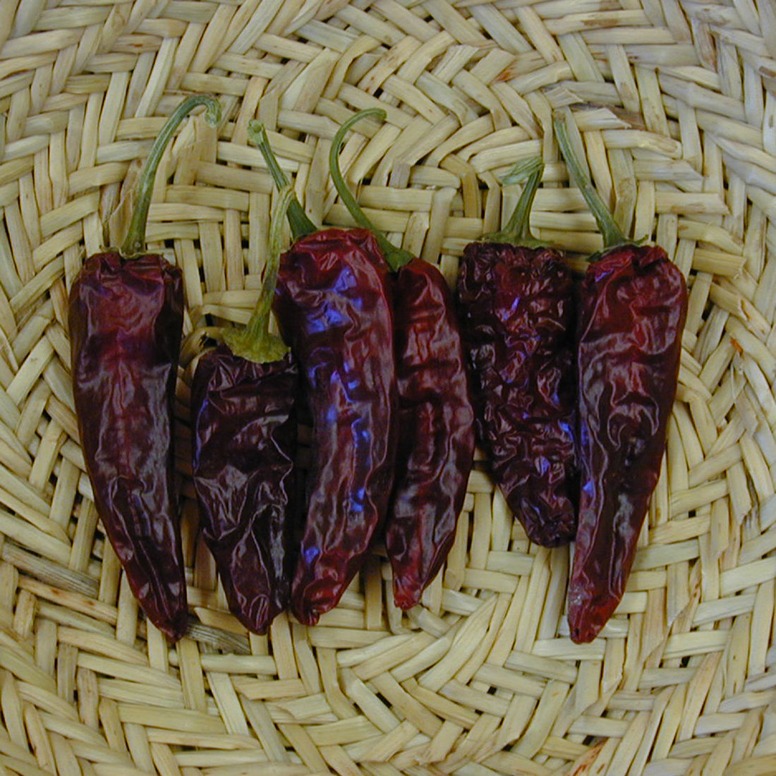 Seeds > Chiles/Peppers – Native-Seeds-Search