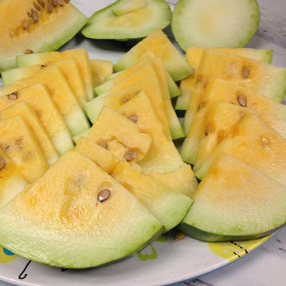 Seeds > Watermelons – Tagged "Hopi" – Native-Seeds-Search