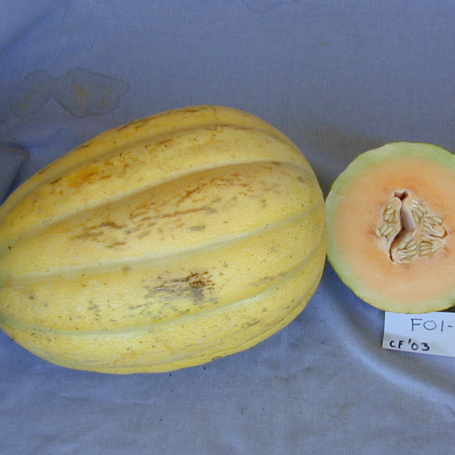 Jemez – Native-Seeds-Search