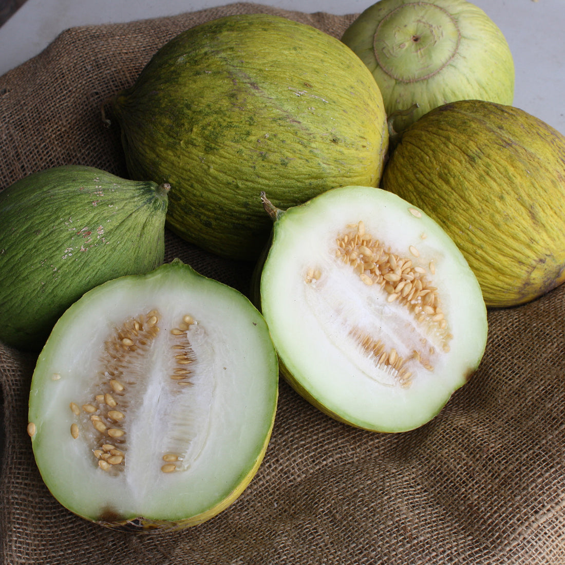 Seeds > Melons – Native-Seeds-Search